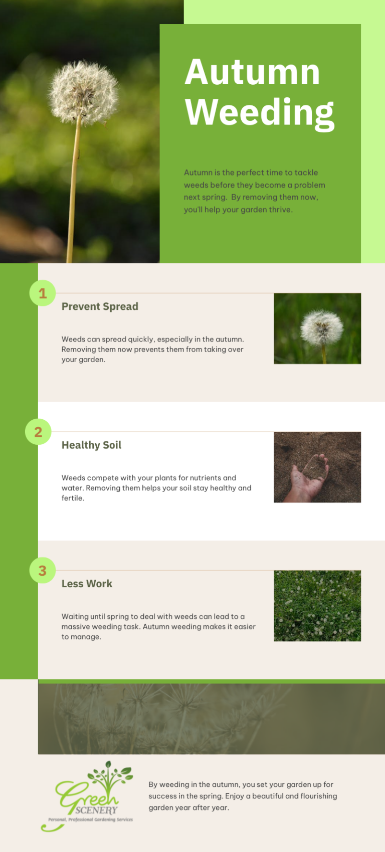 Importance of weeding in the autumn - Green Scenery